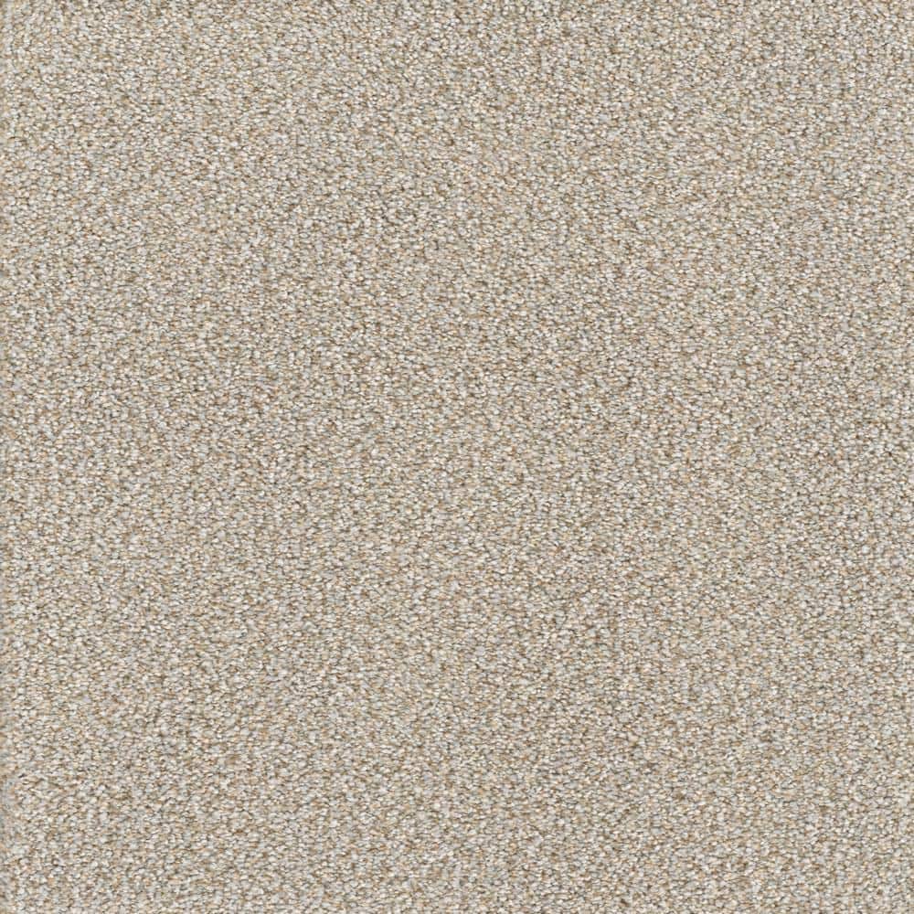Home Decorators Collection 8 in. x 8 in. Texture Carpet Sample ...