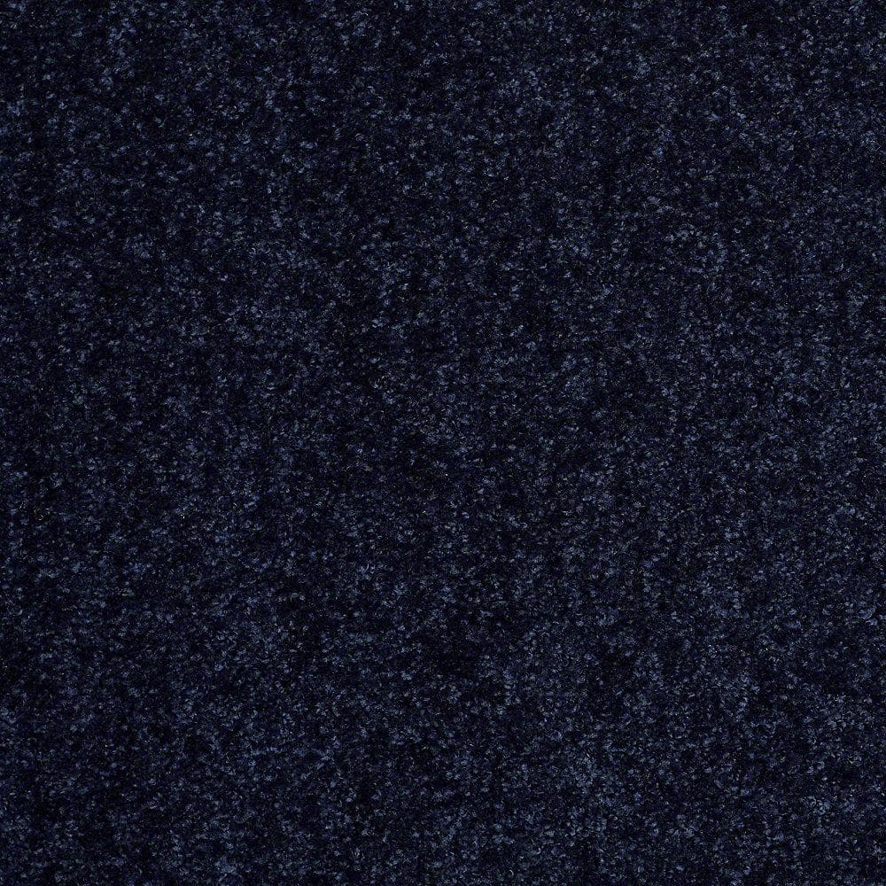 TrafficMaster 8 in. x 8 in. Texture Carpet Sample - Alpine - Color ...