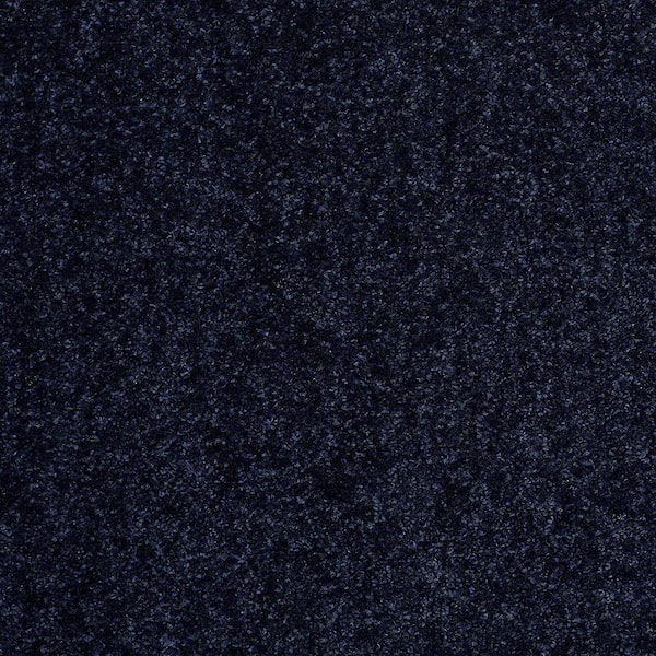 TrafficMaster 8 in. x 8 in. Texture Carpet Sample - Alpine - Color ...