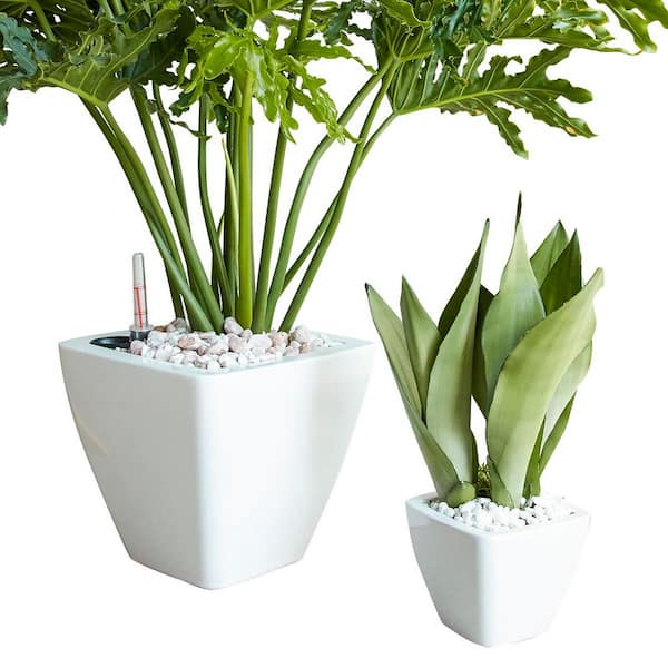 Flynama Square Cone Smart Self-watering Planter Pot in White（2-Pack） JY ...