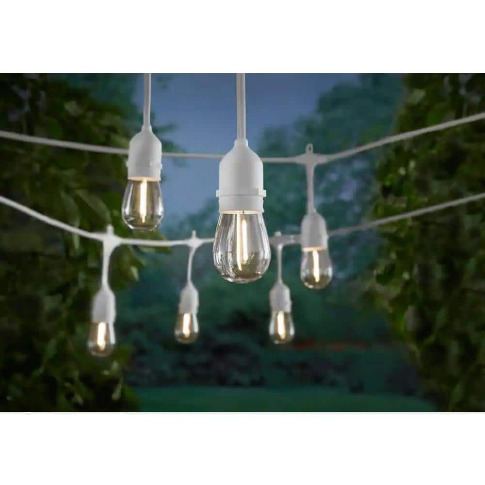 Hampton Bay 12-Light 24 ft. Indoor/Outdoor Plug-In Edison Bulb String ...