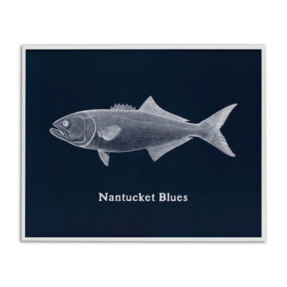 Stupell Industries Nantucket Blues Fish by Phillipa Katz White Framed ...
