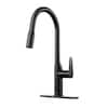 CASAINC Single Handle Pull-Down Sprayer Kitchen Faucet with Deckplate ...