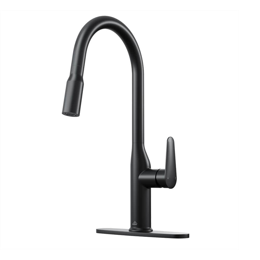 CASAINC Single Handle Pull-Down Sprayer Kitchen Faucet with Deckplate ...