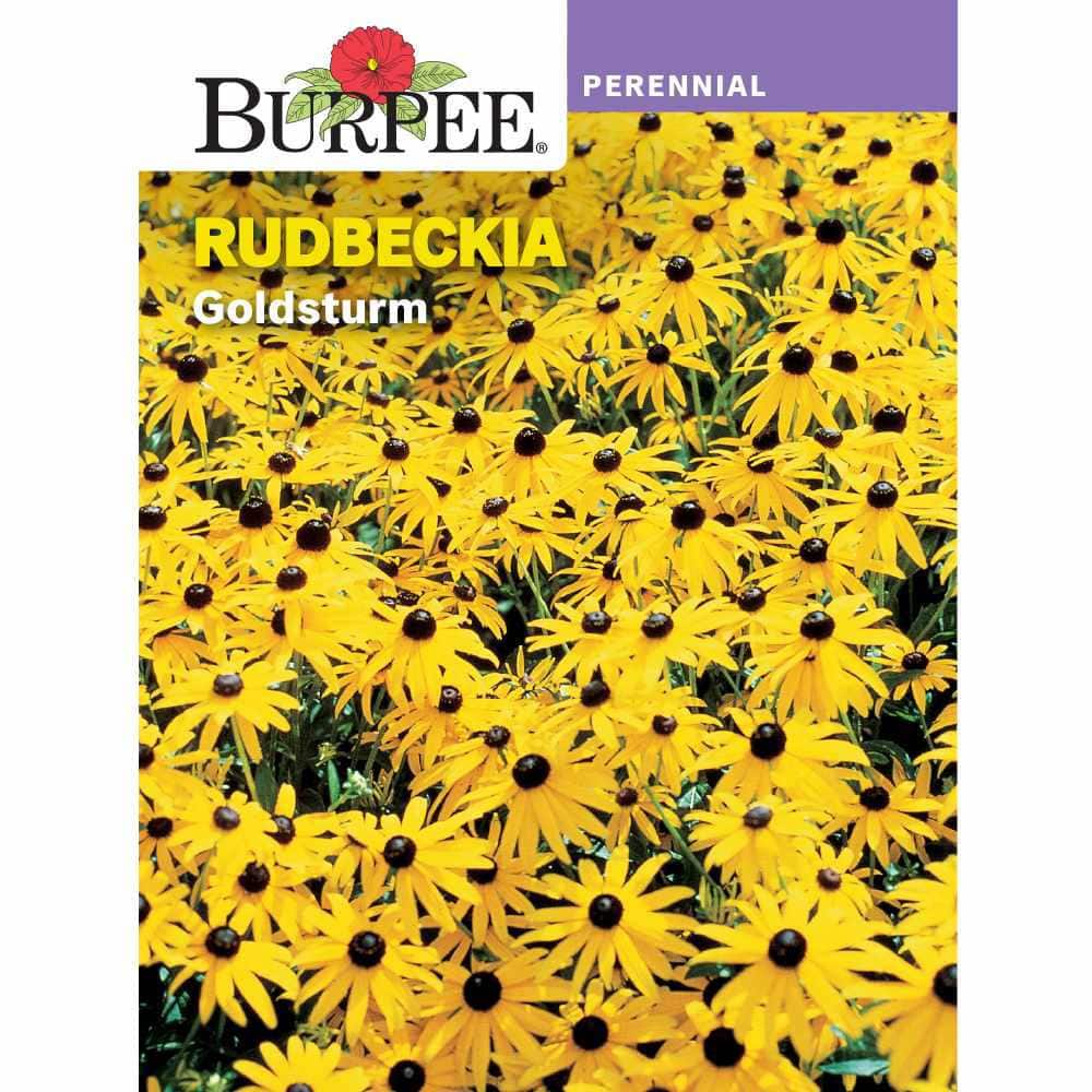 Burpee Rudbeckia Goldsturm Flower Seed 34822 - The Home Depot