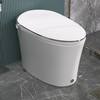 DEERVALLEY 1.28 GPF Tankless Elongated Smart 1-Piece Toilet in White ...