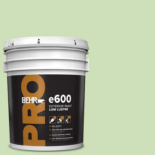 BEHR PRO 5 gal. #430C-3 Peridot Low Luster Exterior Paint PR62005 - The ...
