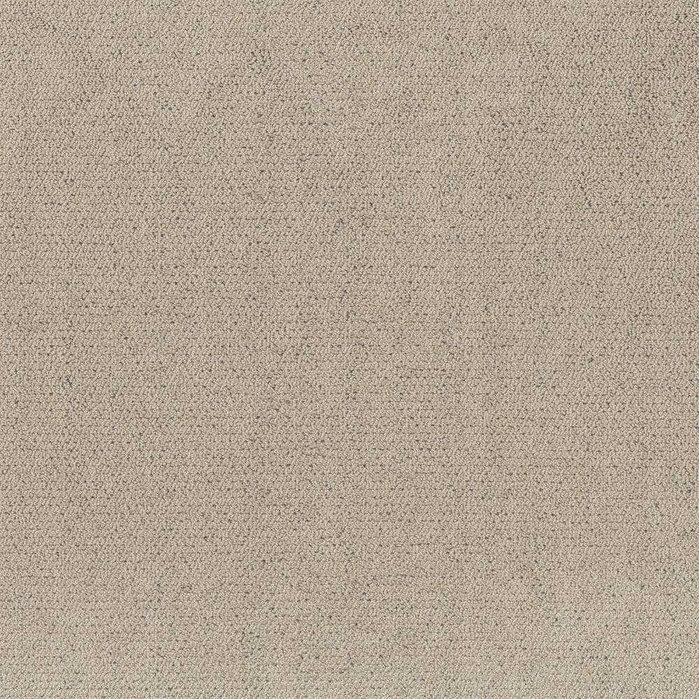 Lifeproof 8 in. x 8 in. Pattern Carpet Sample - Night Owl -Color ...