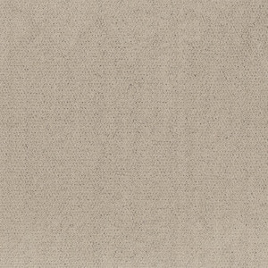 Lifeproof 8 in. x 8 in. Pattern Carpet Sample - Night Owl -Color Anchor ...
