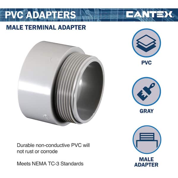 Cantex 2 in. PVC Male Terminal Adapter Conduit Fitting for Cantex PVC ...