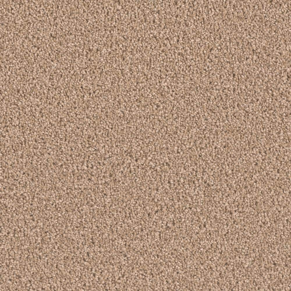 Reviews for Home Decorators Collection Delicate Flower - Humble - Beige ...