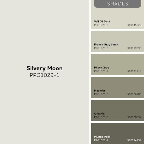 Benjamin Moore Silvery Moon