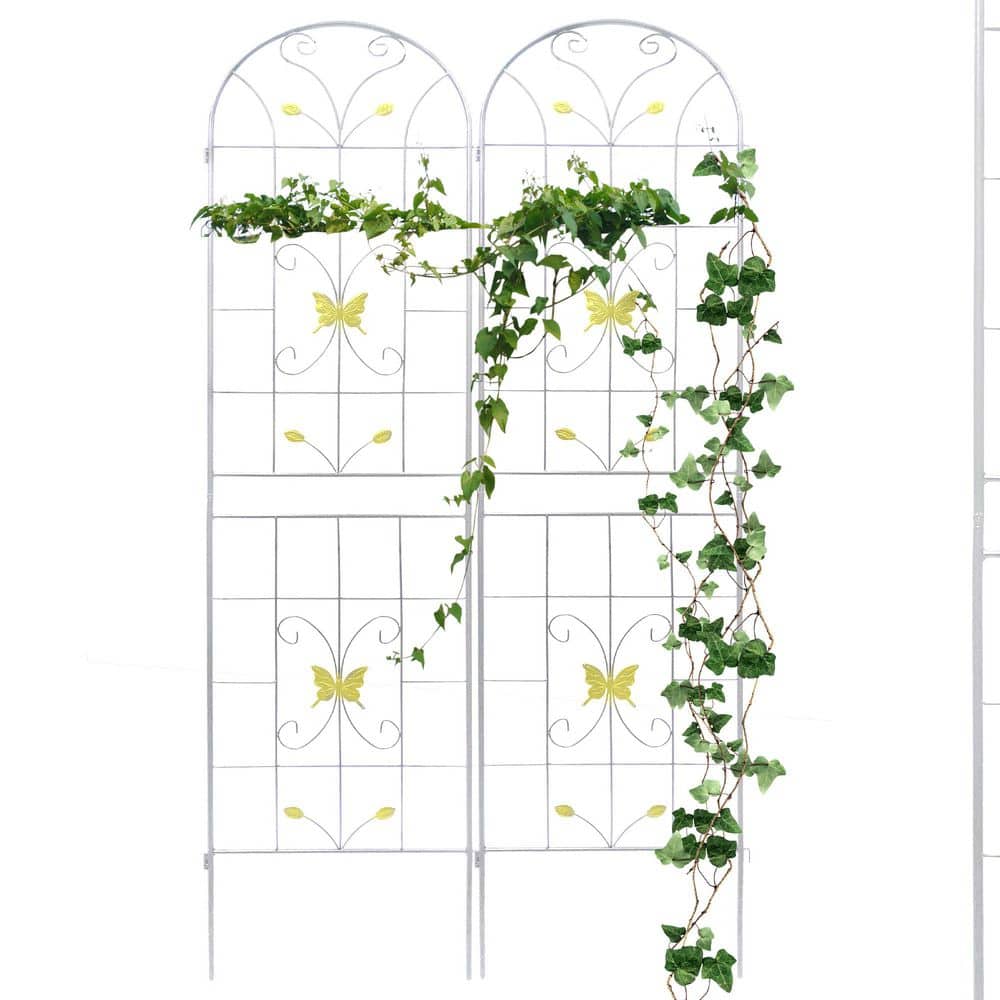 TUYOHW Generic Metal Garden Trellis for Climbing Plants, 19.7"L x 86.7 ...