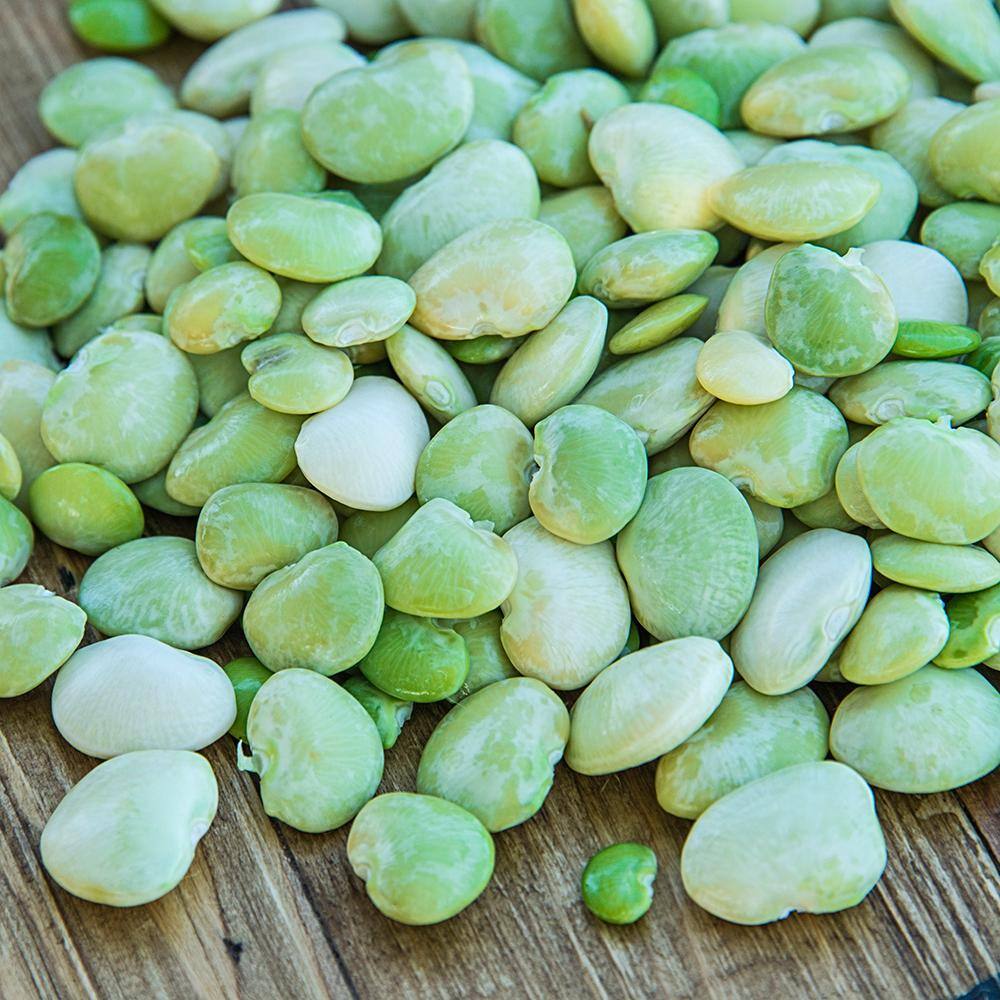 Gurney's Lima Bean Fordhook 242 (0.50 lb. Seed Packet) 14235 - The Home ...