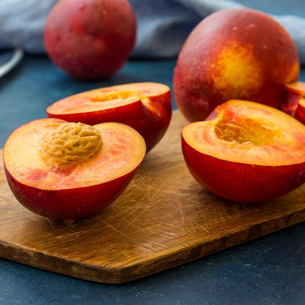 VAN ZYVERDEN Pink June Princess Nectarine Tree 83578