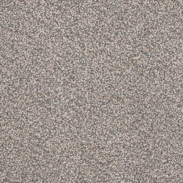 8 in. x 8 in. Texture Carpet Sample - Gilbert Park I - Color Colonial ...