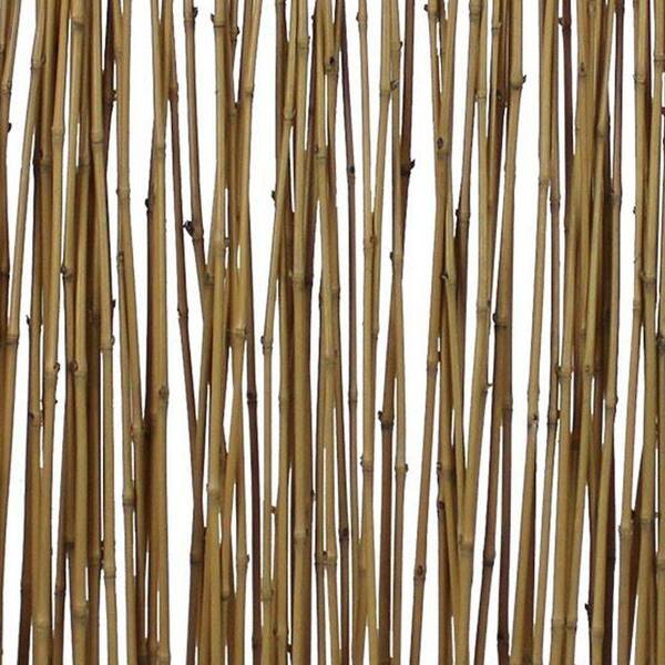 Single Bamboo Texture