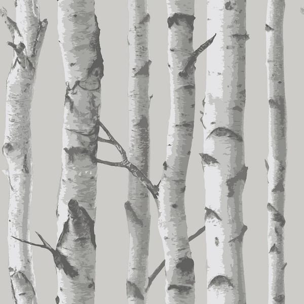 Grey Birch Tree Contact Paper Removable Peel and Stick Wallpaper Roll ...