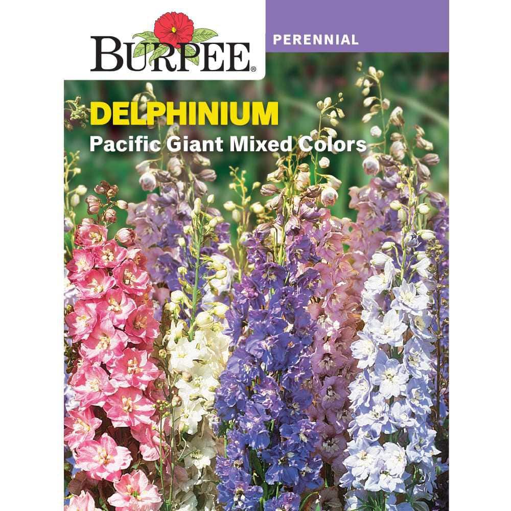 Burpee Delphinium Pacific Giant Mixed Colors Flower Seed 43747 - The ...