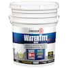 Zinsser 5 Gal. WaterTite LX Low VOC Mold and Mildew-Proof White Water ...
