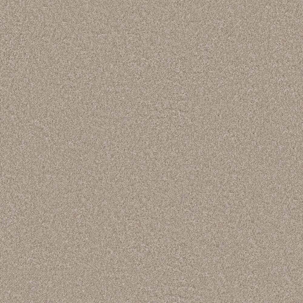 Lifeproof Rosemary III - Aster-Beige 12 ft. 66 oz. High Performance ...