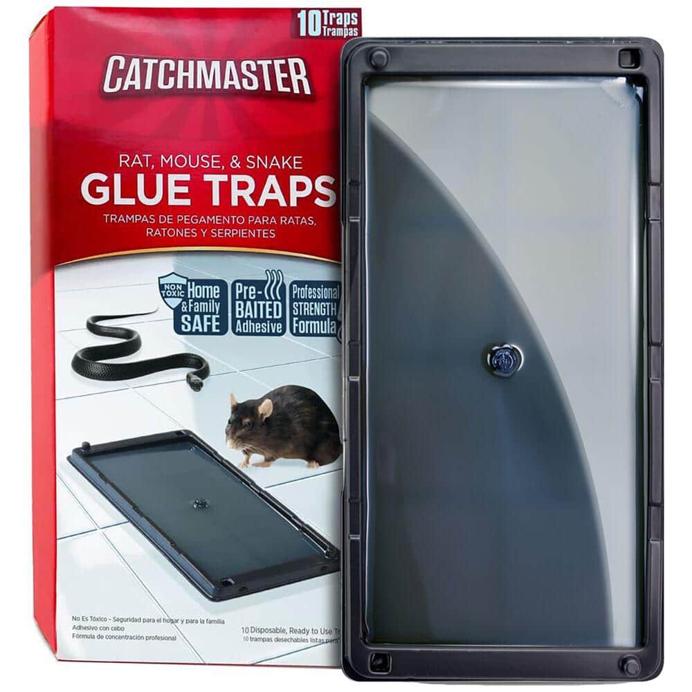 Catchmaster Glue Mouse Traps Indoor for Home 10pack 402-EC-5E - The ...