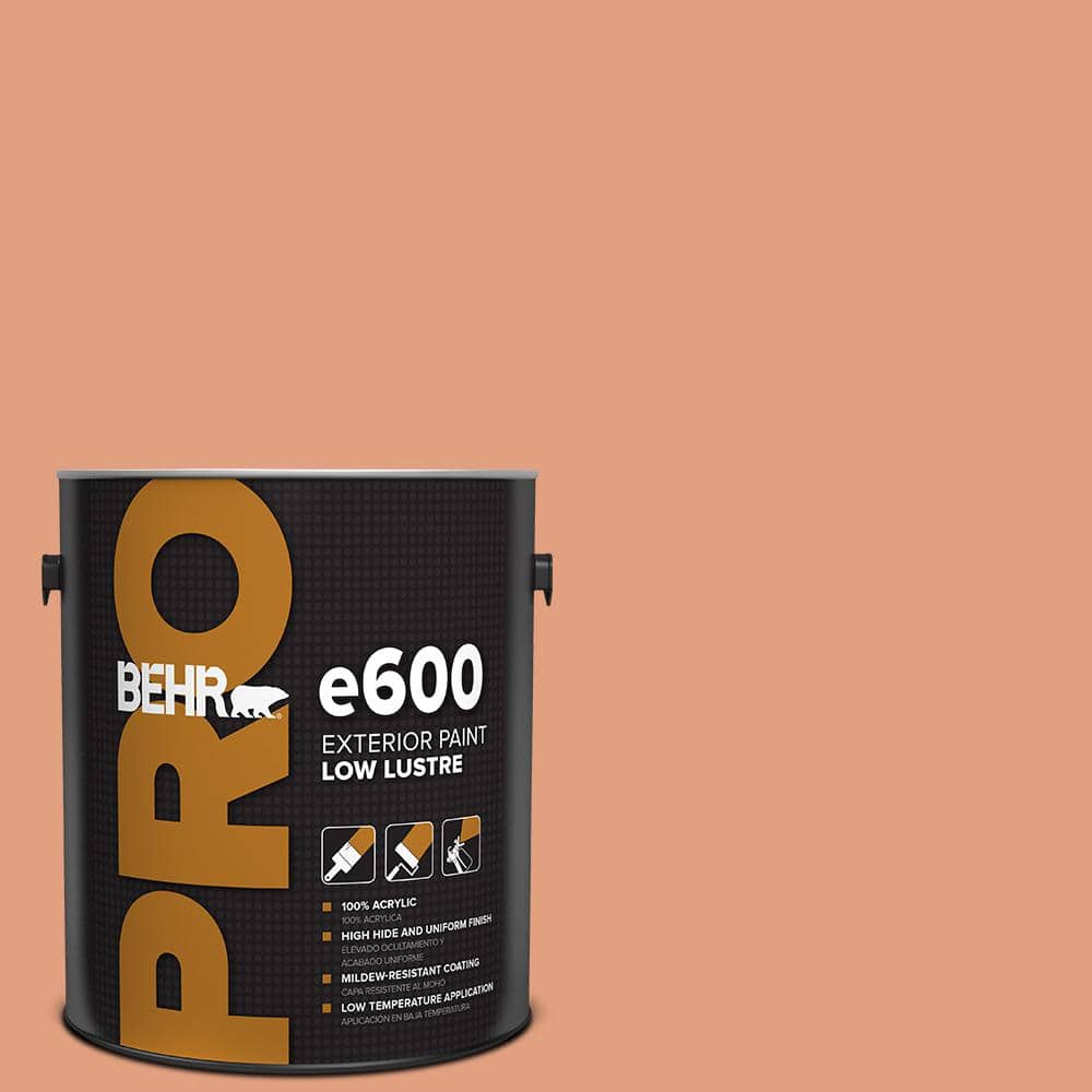 BEHR PRO 1 gal. #230D-4 Pecos Spice Low Luster Exterior Paint PR62001 ...