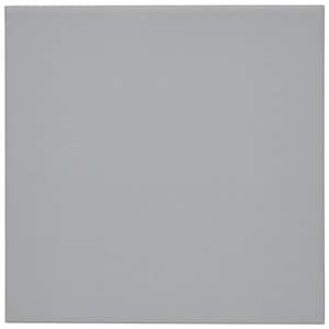 Ivy Hill Tile Tripoli Star-Crossed White 6.1 in. x 0.35 in. Matte ...