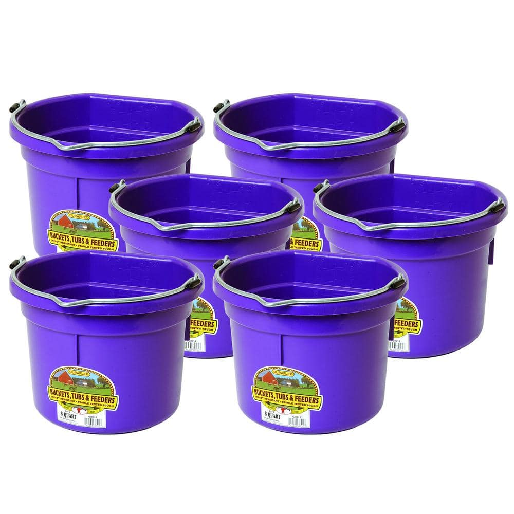 Little Giant Purple 2 Gal. All Purpose Plastic Bucket (6-Pack) 6 x ...