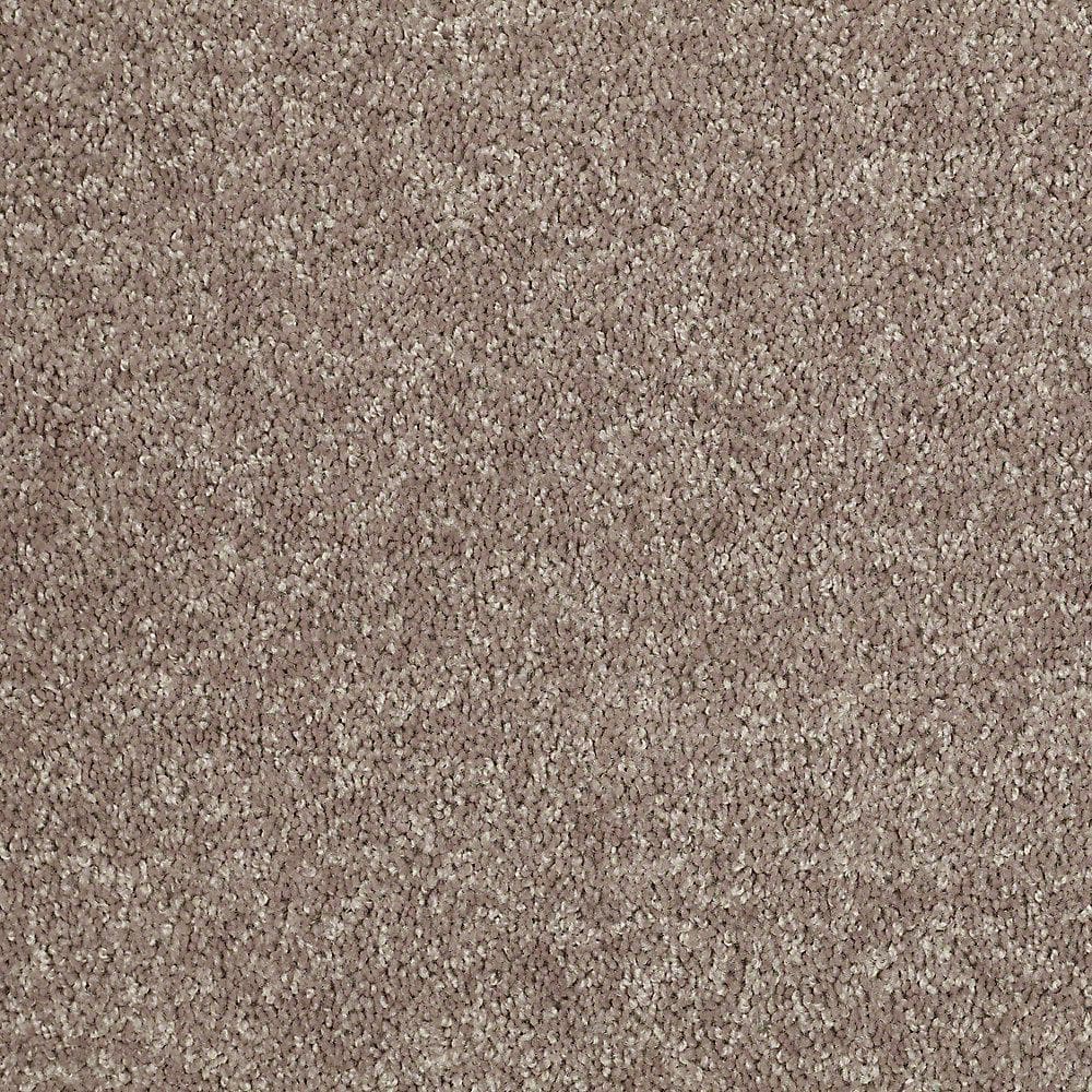 TrafficMaster 8 in. x 8 in. Texture Carpet Sample - Alpine - Color Will ...
