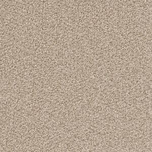 Home Decorators Collection 8 in. x 8 in. Texture Carpet Sample ...
