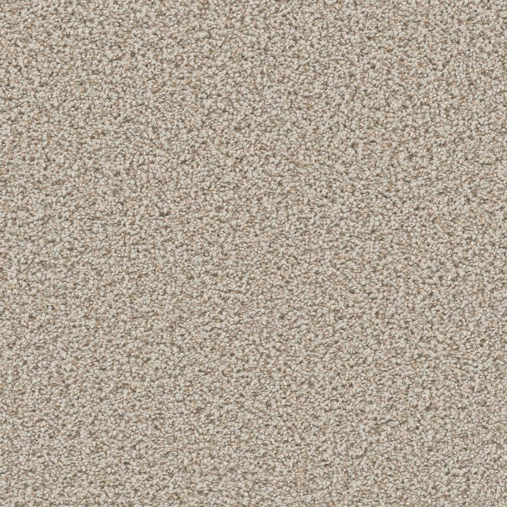Home Decorators Collection 8 in. x 8 in. Texture Carpet Sample ...