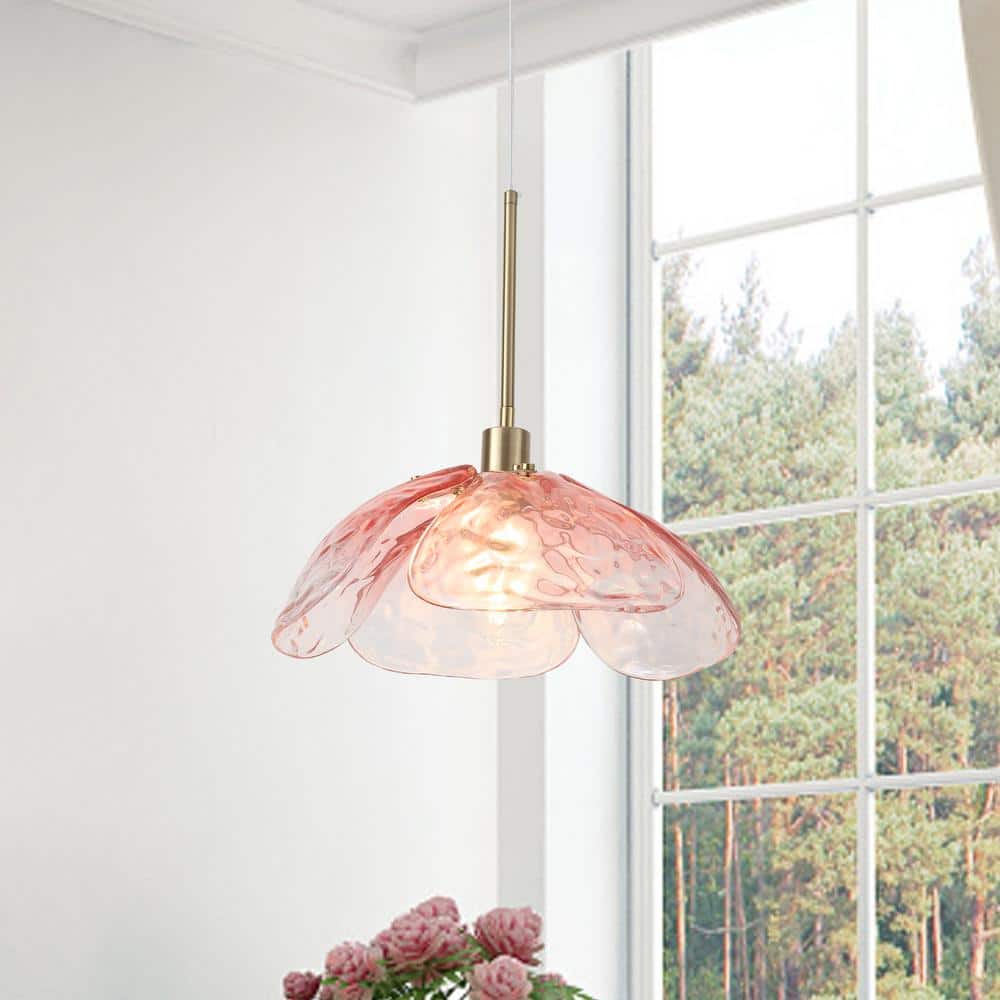 ZJVAIVE 1 Light Brass Frame Industrial Hanging Pendant Light Chandelier ...