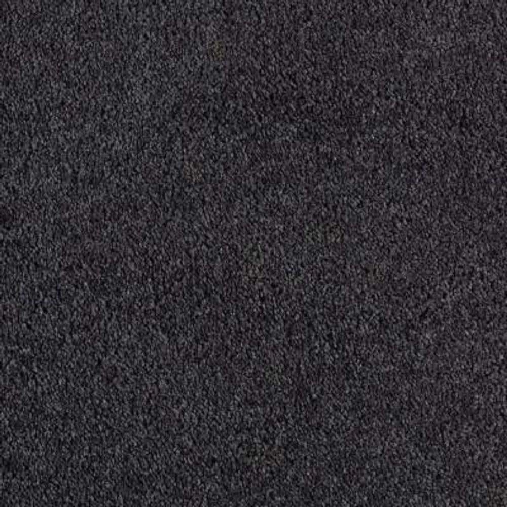 Lifeproof 8 in. x 8 in. Texture Carpet Sample - Ambrosina II -Color ...