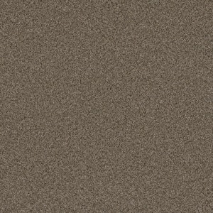 Home Decorators Collection 8 in. x 8 in. Texture Carpet Sample - Trendy ...