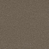 Home Decorators Collection 8 in. x 8 in. Texture Carpet Sample - Trendy ...