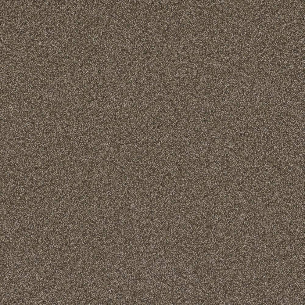 Home Decorators Collection 8 in. x 8 in. Texture Carpet Sample - Trendy ...