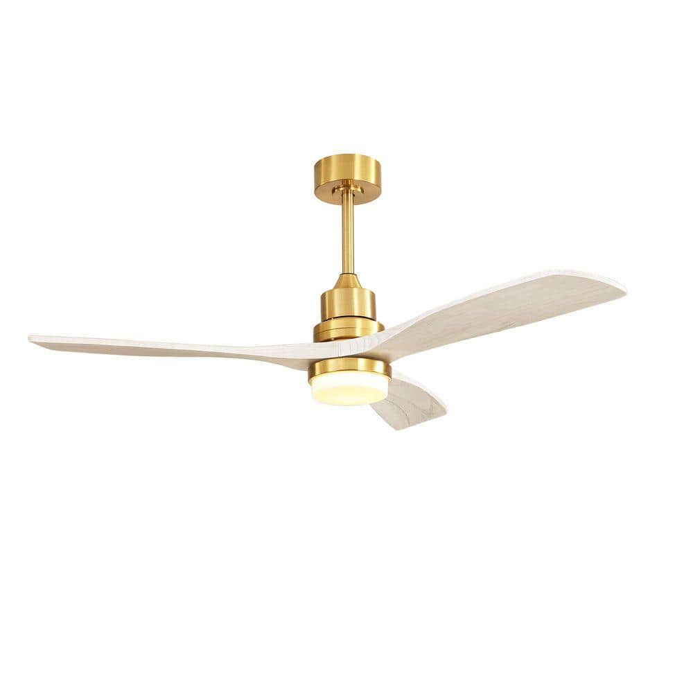 TaiMei Glio 52 in. Gold Dark Walnut Downrod Standard Ceiling Fan with ...