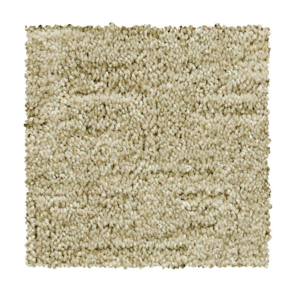 Home Decorators Collection 8 in. x 8 in. Pattern Carpet Sample - Corry ...