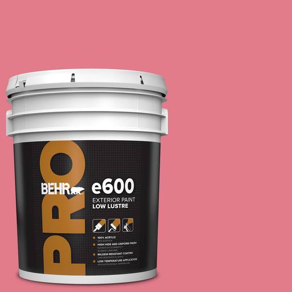 BEHR PRO 5 gal. #P150-4 Hot Gossip Low Luster Exterior Paint PR62305 ...