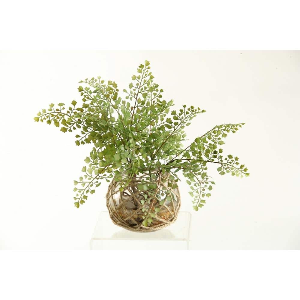 D&W Silks Artificial Indoor Flat Iron Fern in Glass Bowl with Seagrass ...