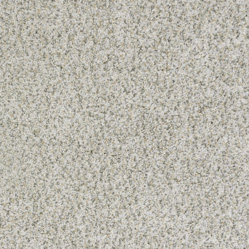 Lifeproof with Petproof Technology 8 in. x 8 in. Texture Carpet Sample ...