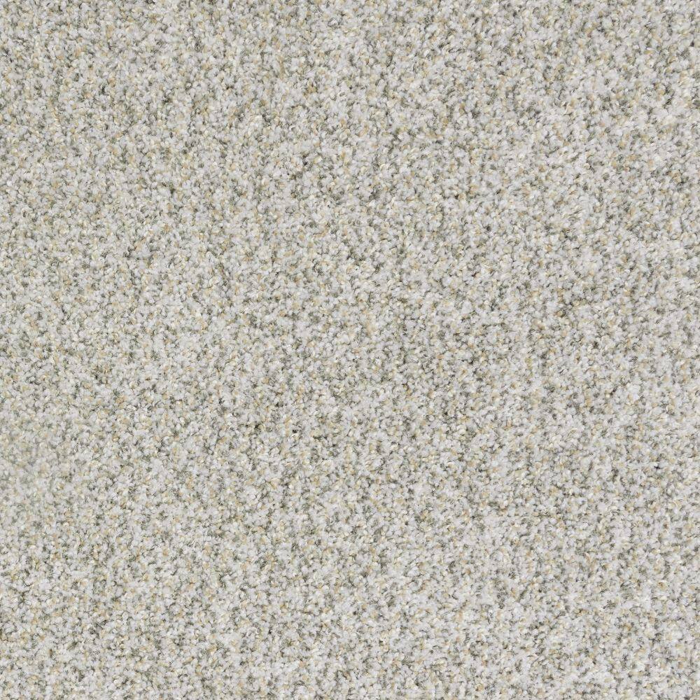 Lifeproof with Petproof Technology 8 in. x 8 in. Texture Carpet Sample ...