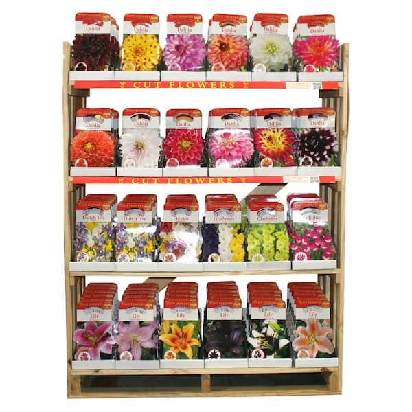 VAN ZYVERDEN Cut Flower 4 Bulb Rack 06128 - The Home Depot