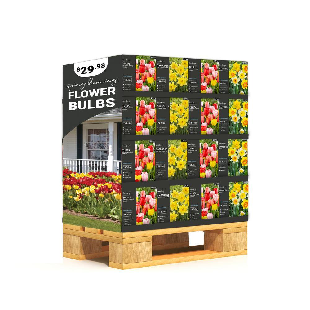 Garden State Bulb Vigoro Pre-Planted Assorted Mixed Bulbs (B) - (S) (48 ...