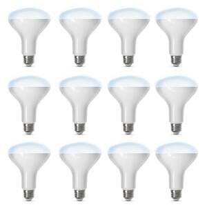 Feit Electric 28-Watt White Outdoor Integrated LED Smart Area Light ...