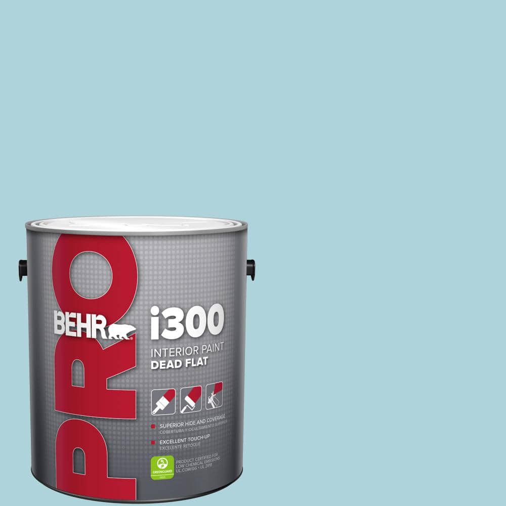 BEHR PRO 1 gal. #MQ4-55 Balboa Dead Flat Interior Paint PR31001 - The ...