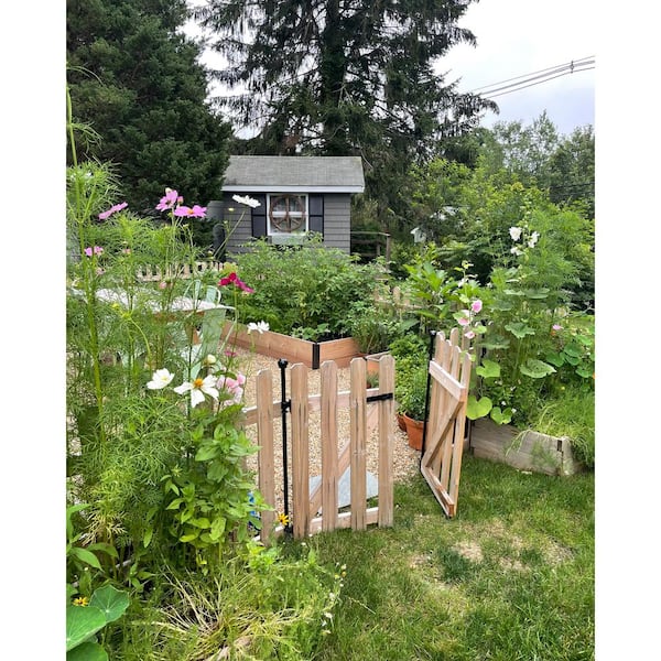 Vigoro 37.1 in. H x 48.3 in. W Cedar Garden Fence Gate 860671 - The ...