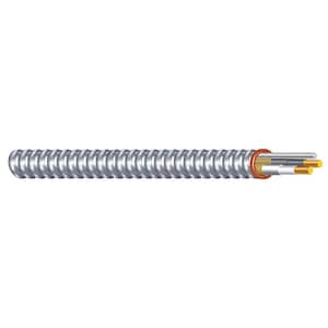 AFC Cable Systems 10/2 x 25 ft. BX/AC-90 Armored Electrical Cable ...