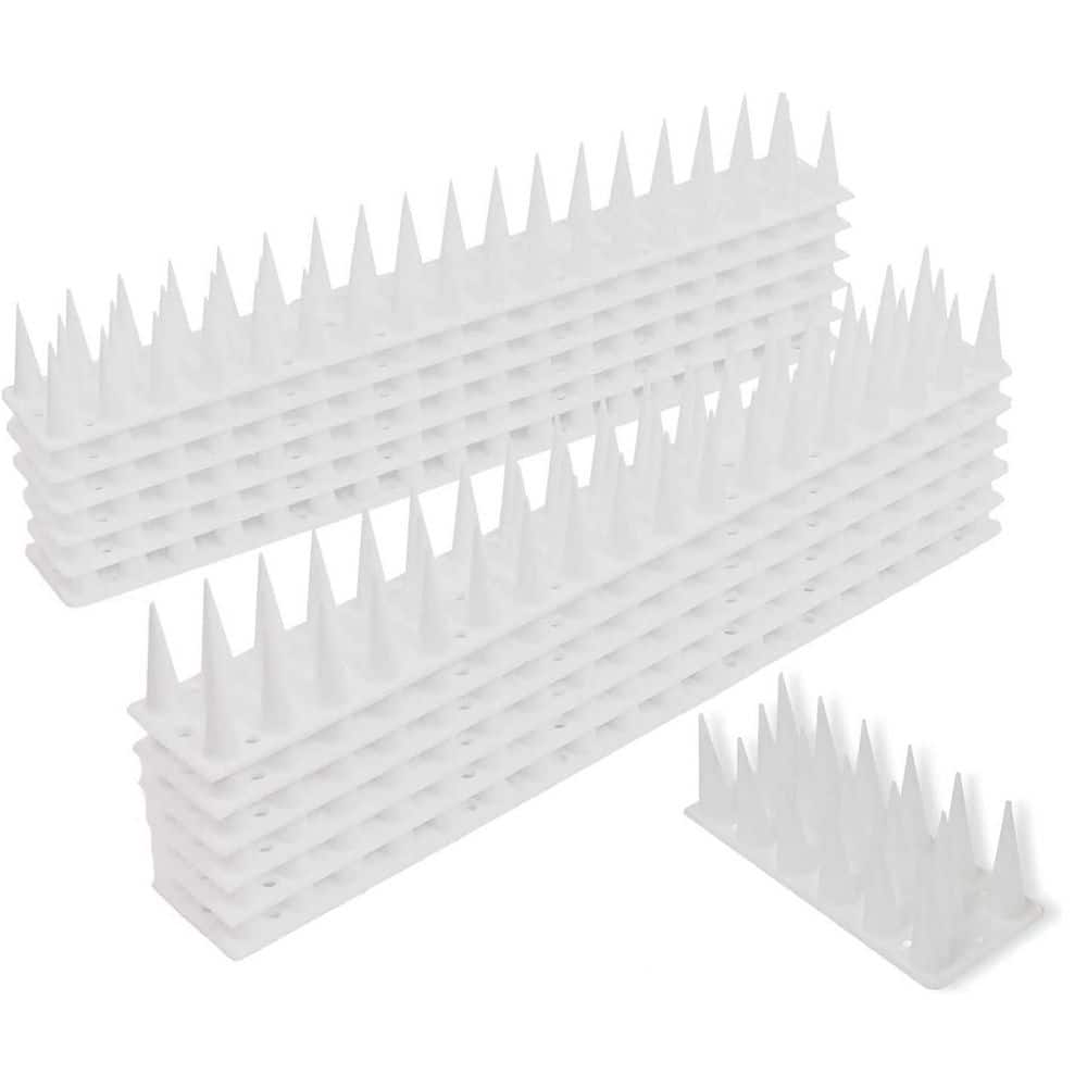 Oyezvary 4 in. x 1.57 in. Plastic Bird Spikes for Blocking Little Robin ...